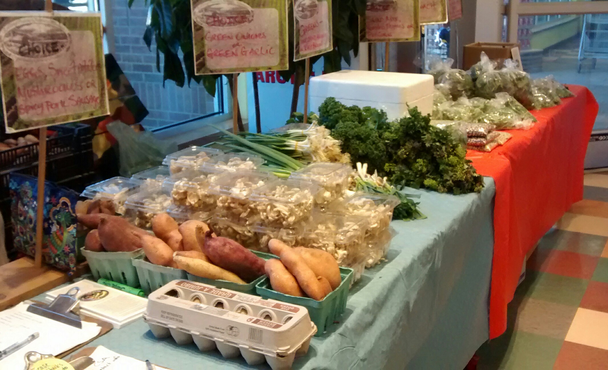 _20160717_130221 – RPFA