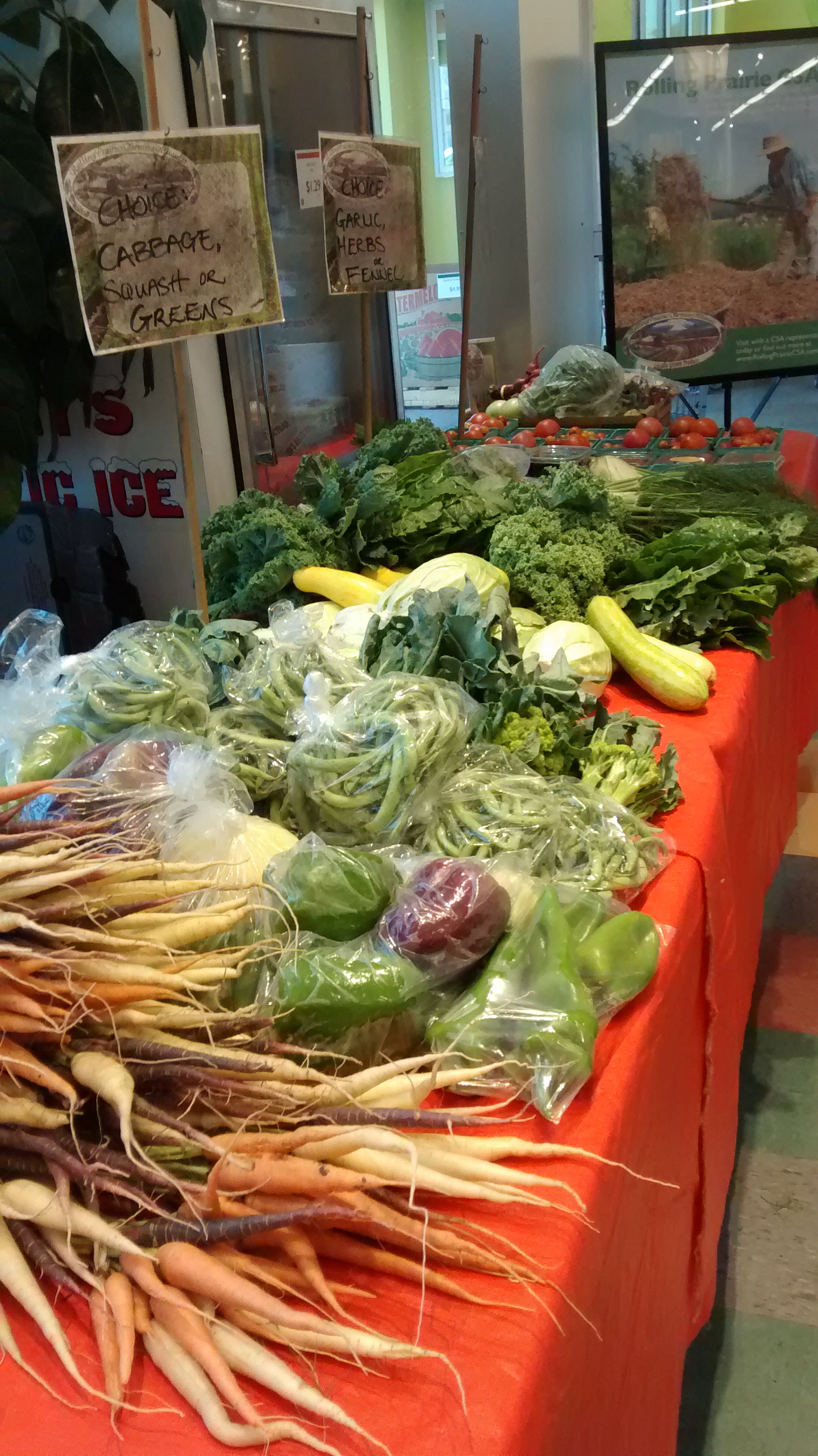 IMG_20160711_155850275 – RPFA